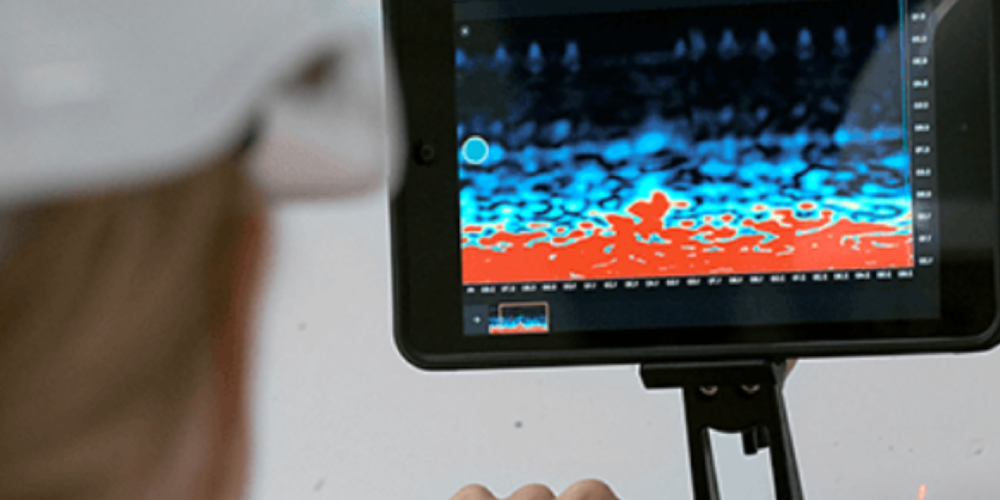 Subsurface and Through-the-Wall Imaging